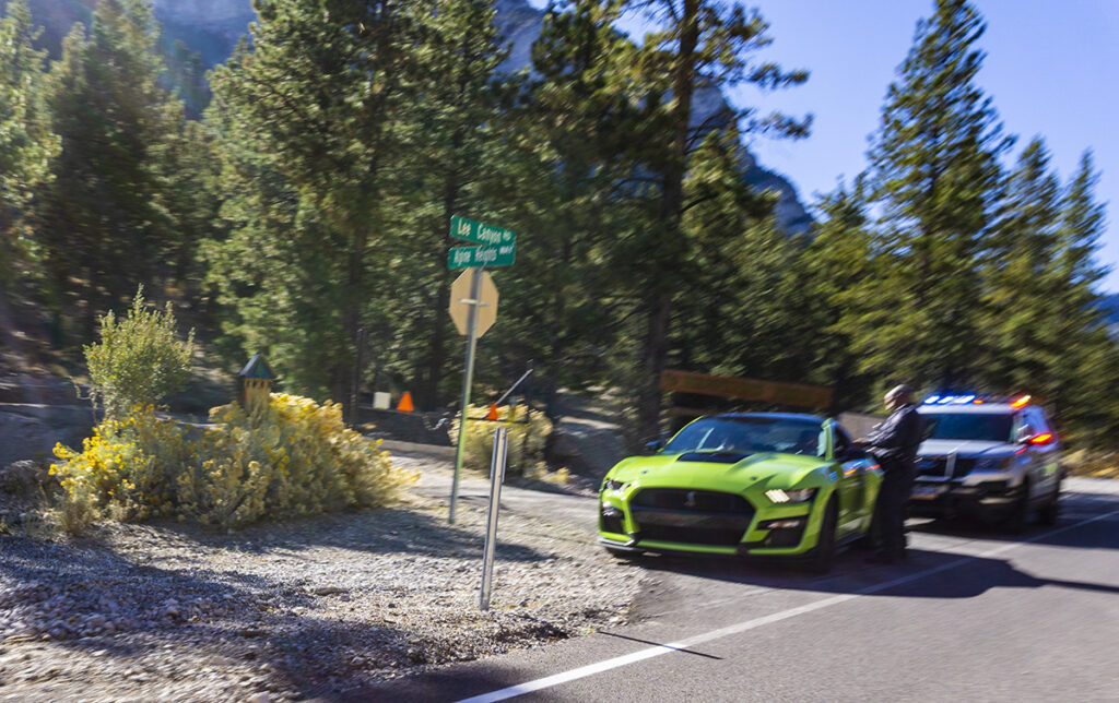 The 2020 Shelby GT500, Meet The New Boss. | WAMD